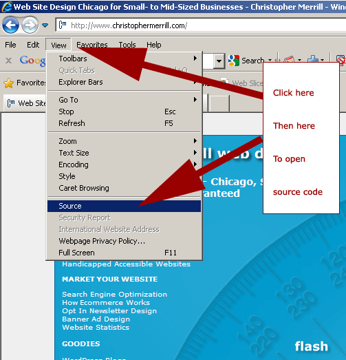 Frequently Asked ions FAQs Chicago Web Design How To View Your Source Code